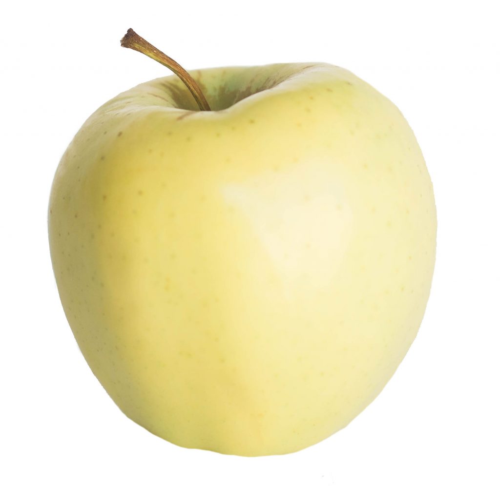 Ginger Gold Apples - Riveridge Produce Marketing, INC